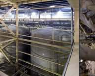 Spinning mill process :: China Textile